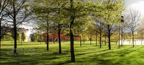 Un paseo por el parque (parte uno…) – Paisajes imaginados